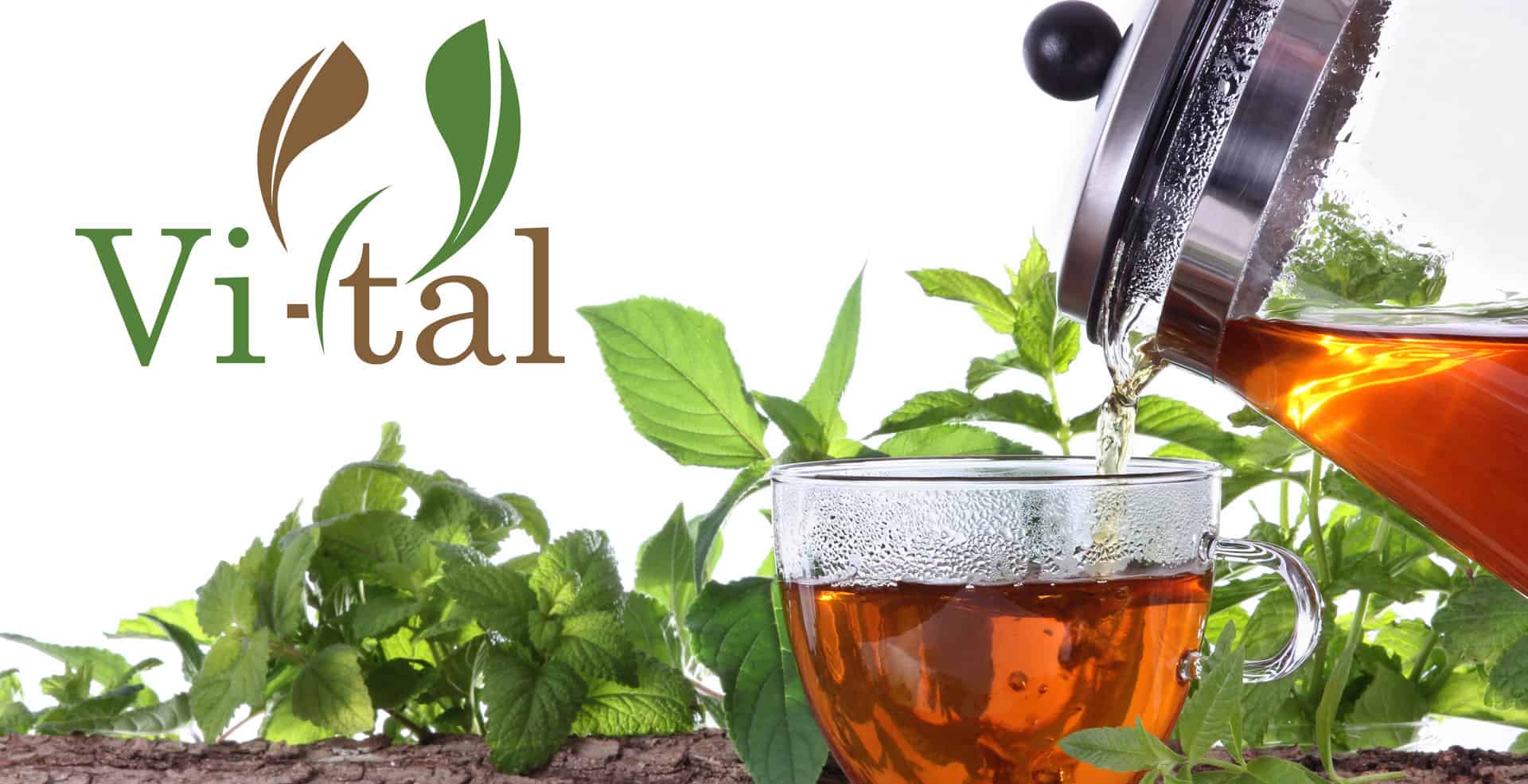 Vital Health and Wellness - Dr. Miller’s Holistic Premium Holy Tea